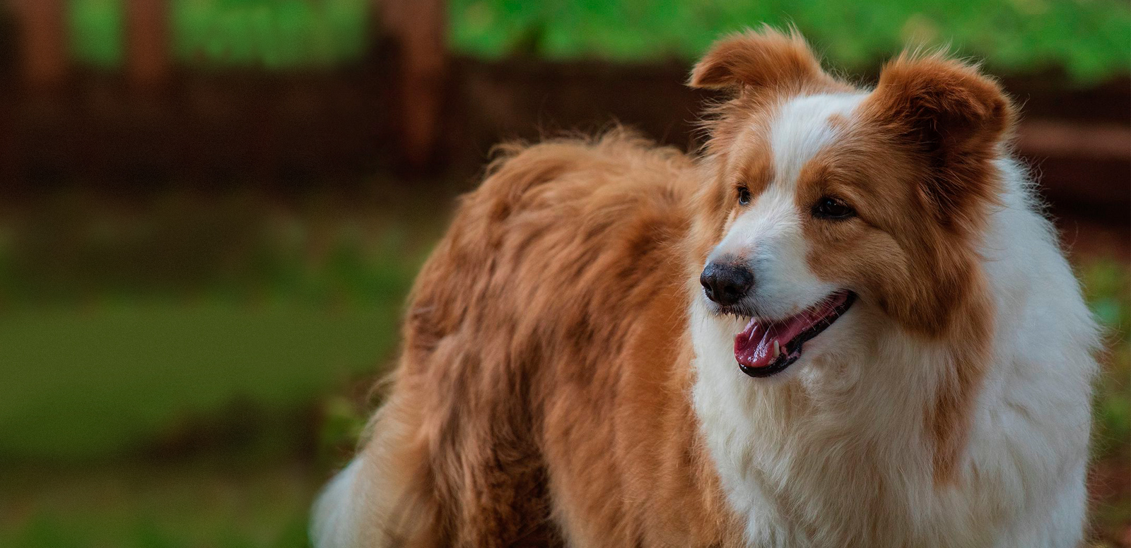 Aqui estão as respostas para as dúvidas mais frequentes - Perguntas ...